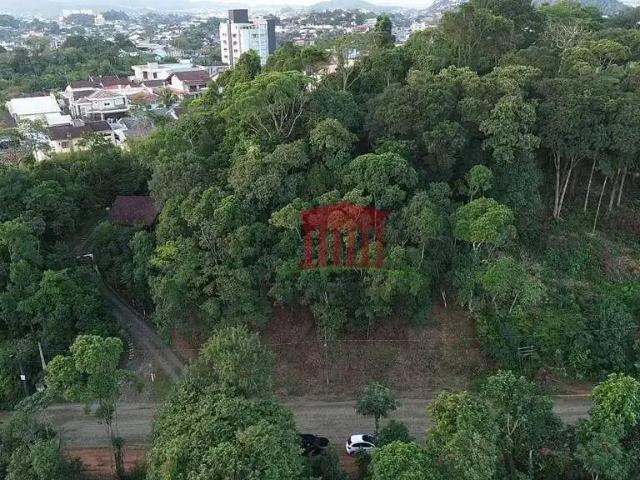 Terreno / Lote para Venda em Joinville/SC Petrópolis
