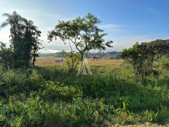 Terreno / Lote para Venda em Joinville/SC Pirabeiraba