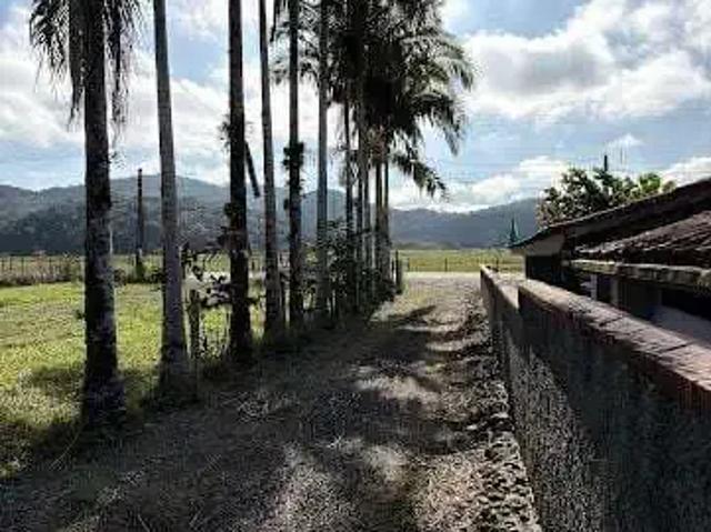 Terreno / Lote para Venda em Joinville/SC Rio Bonito Pirabeiraba