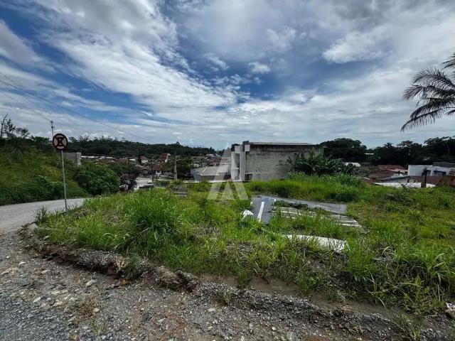 Terreno / Lote para Venda em Joinville/SC Santa Catarina