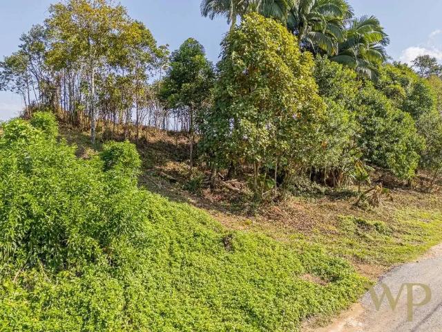 Terreno / Lote para Venda em Joinville/SC Santa Catarina