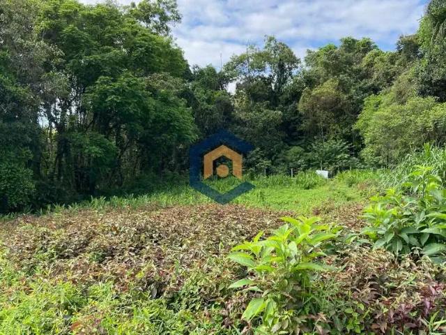 Terreno / Lote para Venda em Joinville/SC Santo Antônio