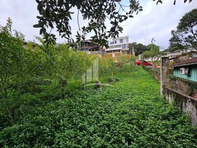 Terreno / Lote para Venda em Joinville/SC Saguaçu