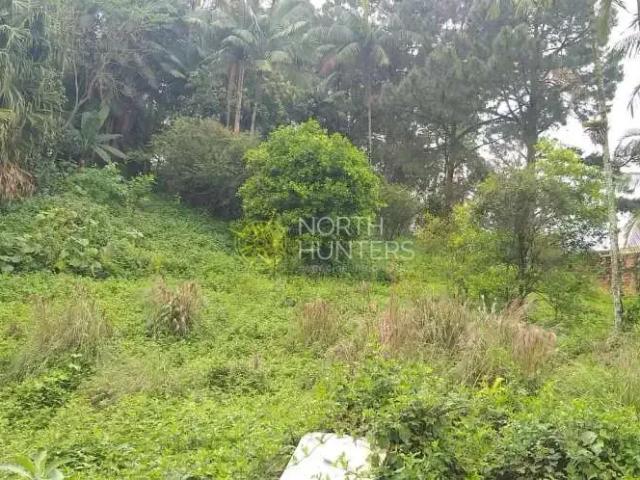 Terreno / Lote para Venda em Joinville/SC Saguaçu