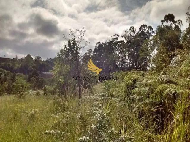 Terreno / Lote para Venda em Jundiaí/SP Caxambu