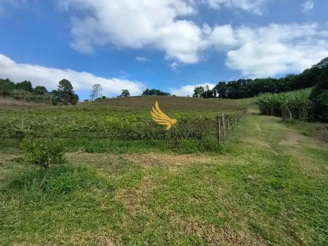 Terreno / Lote para Venda em Jundiaí/SP Caxambu