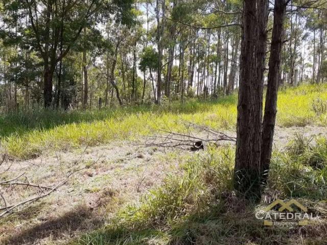 Terreno / Lote para Venda em Jundiaí/SP Caxambu