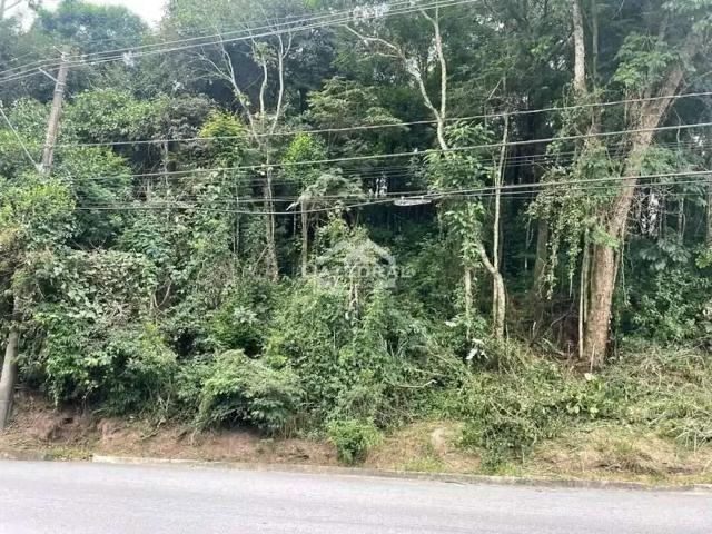Terreno / Lote para Venda em Jundiaí/SP Jardim Rosaura