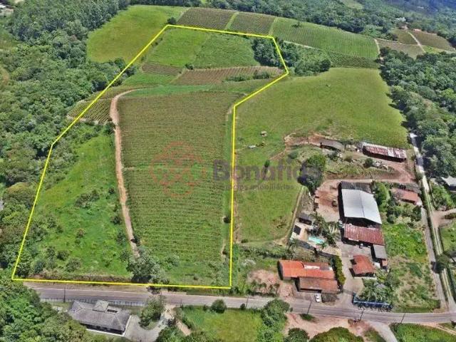 Terreno / Lote para Venda em Jundiaí/SP Jardim Rosaura