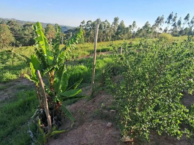 Terreno / Lote para Venda em Jundiaí/SP Jardim Santa Fé