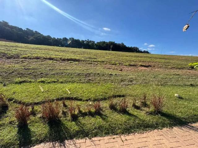 Terreno / Lote para Venda em Jundiaí/SP Loteamento Alphaville Jundiaí Fase 01