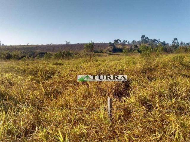 Terreno / Lote para Venda em Jundiaí/SP Mato Dentro