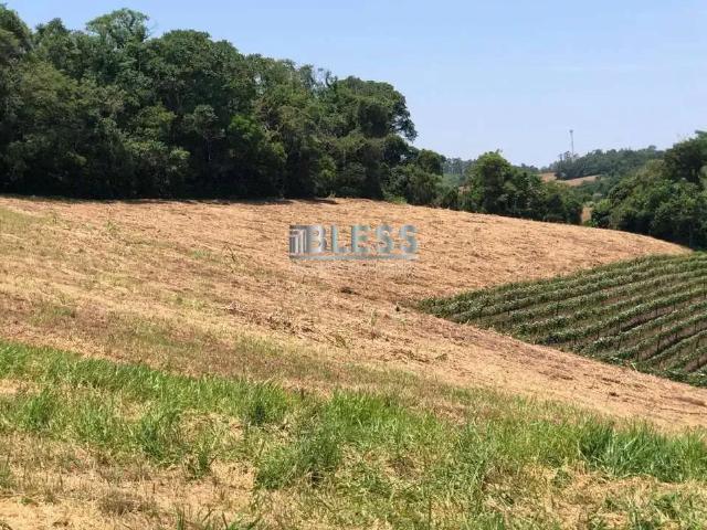 Terreno / Lote para Venda em Jundiaí/SP Rio Acima