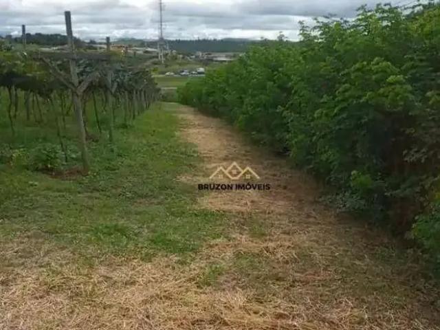 Terreno / Lote para Venda em Jundiaí/SP Traviú