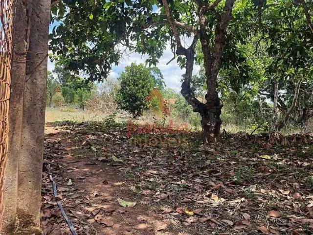Terreno / Lote para Venda em Juatuba/MG Cidade Satélite