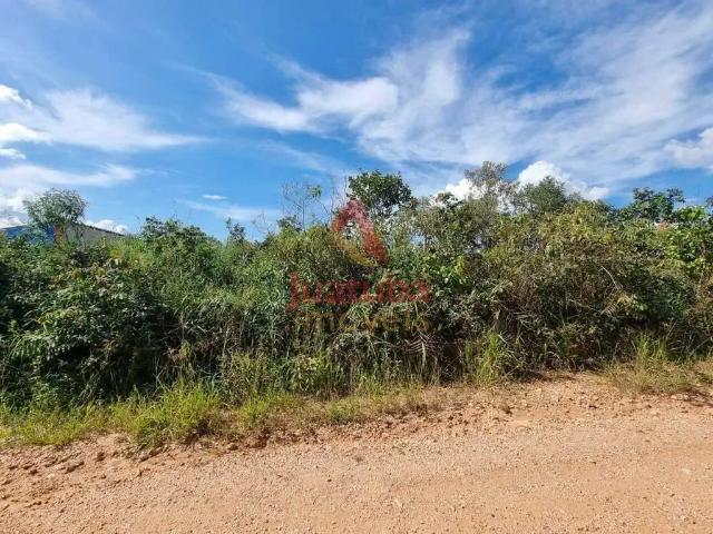 Terreno / Lote para Venda em Juatuba/MG Jardim do Lago