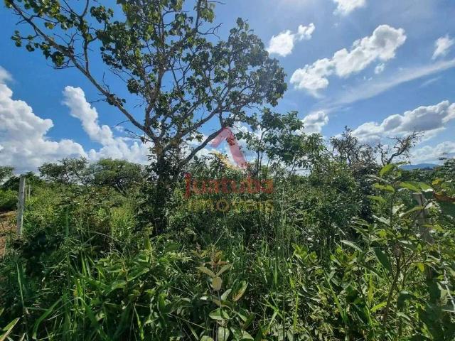 Terreno / Lote para Venda em Juatuba/MG Jardim do Lago