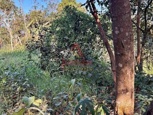 Terreno / Lote para Venda em Juatuba/MG Samambaia II