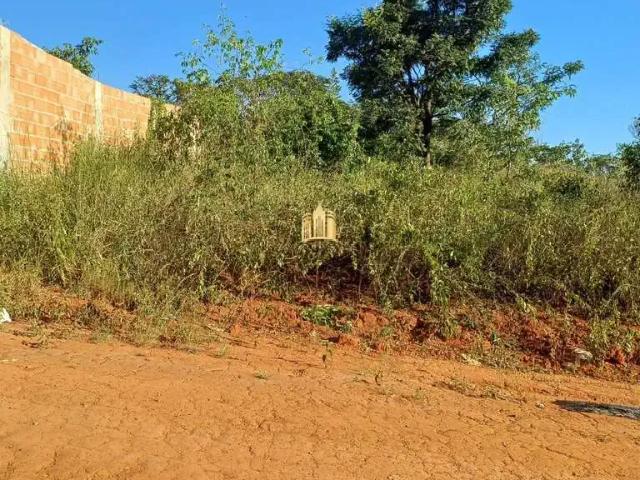 Terreno / Lote para Venda em Juatuba/MG Vila Maria Regina