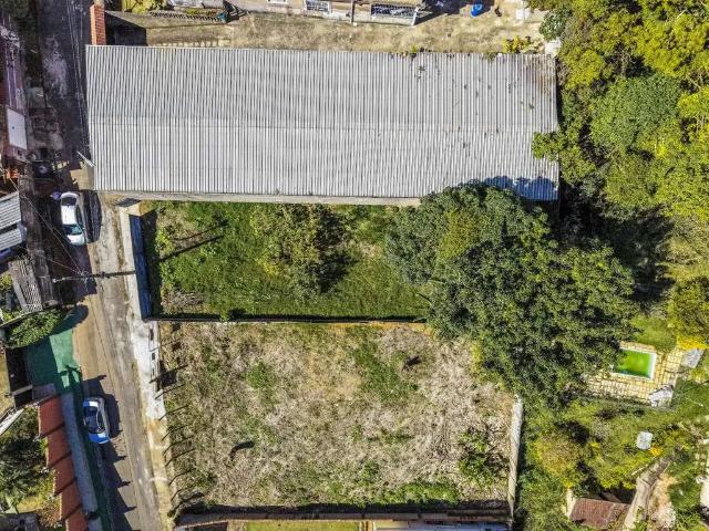 Terreno / Lote para Venda em Juiz de Fora/MG Teixeiras