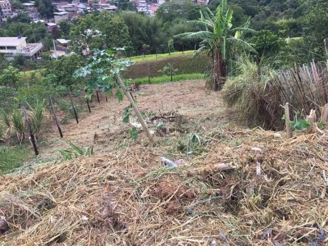 Terreno / Lote para Venda em Juiz de Fora/MG Terras Altas