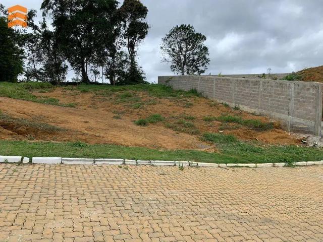 Terreno / Lote para Venda em Juiz de Fora/MG Torreões
