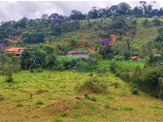 Terreno / Lote para Venda em Juiz de Fora/MG Torreões