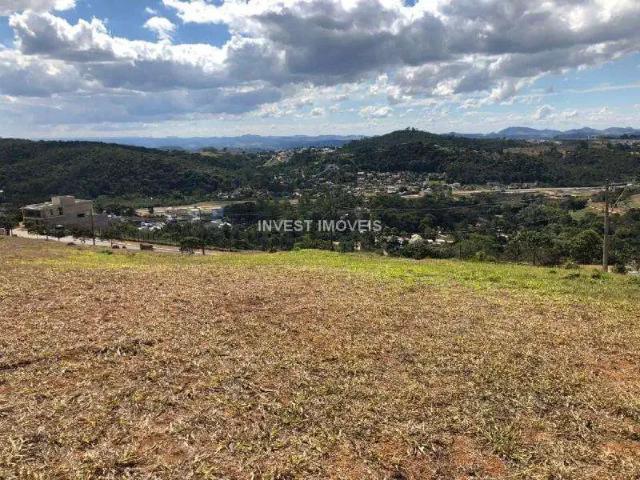 Terreno / Lote para Venda em Juiz de Fora/MG Vina Del Mar