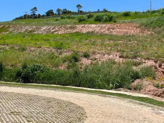 Terreno / Lote para Venda em Juiz de Fora/MG Vina Del Mar