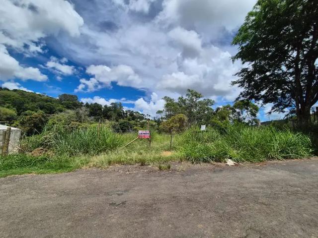 Terreno / Lote para Venda em Juiz de Fora/MG Vina Del Mar