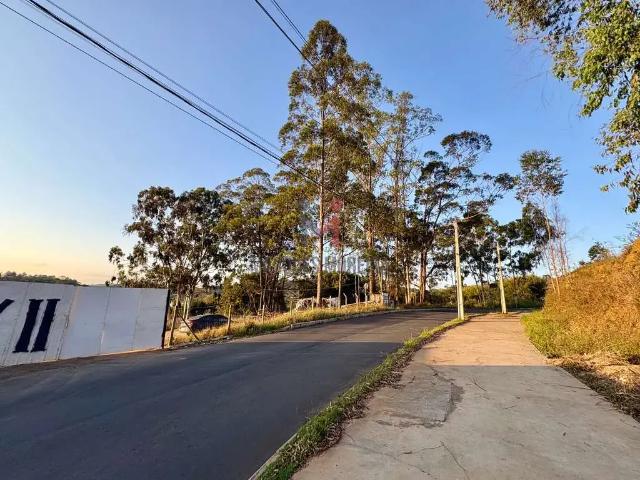 Terreno / Lote para Venda em Juiz de Fora/MG Vina Del Mar