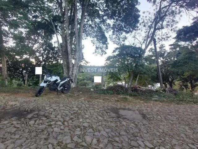 Terreno / Lote para Venda em Juiz de Fora/MG Aeroporto
