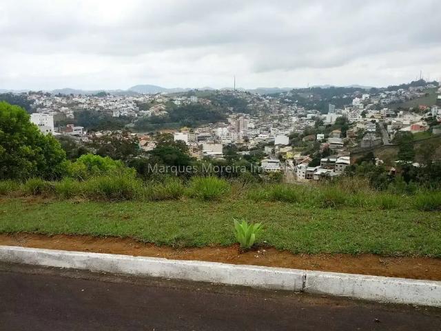 Terreno / Lote para Venda em Juiz de Fora/MG Aeroporto