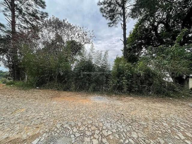 Terreno / Lote para Venda em Juiz de Fora/MG Aeroporto