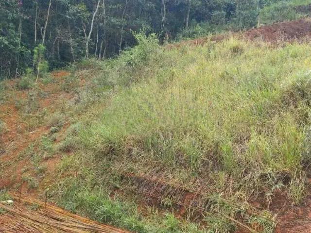 Terreno / Lote para Venda em Juiz de Fora/MG Aeroporto