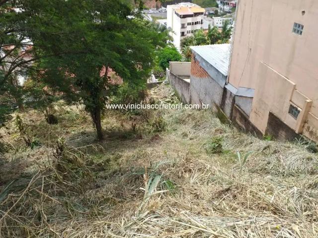 Terreno / Lote para Venda em Juiz de Fora/MG Bom Clima
