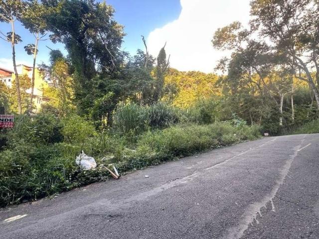 Terreno / Lote para Venda em Juiz de Fora/MG Borboleta