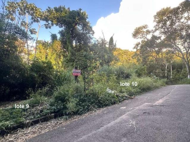 Terreno / Lote para Venda em Juiz de Fora/MG Borboleta