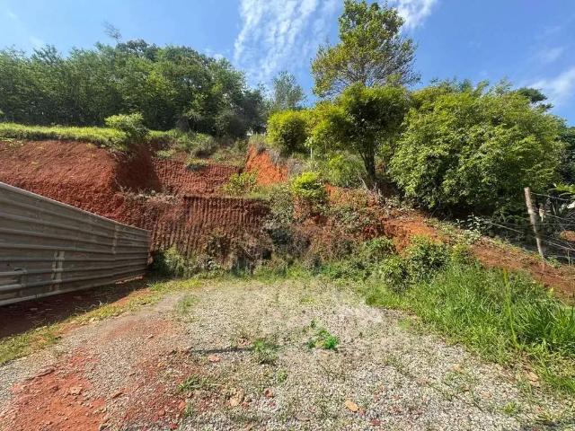 Terreno / Lote para Venda em Juiz de Fora/MG Borboleta