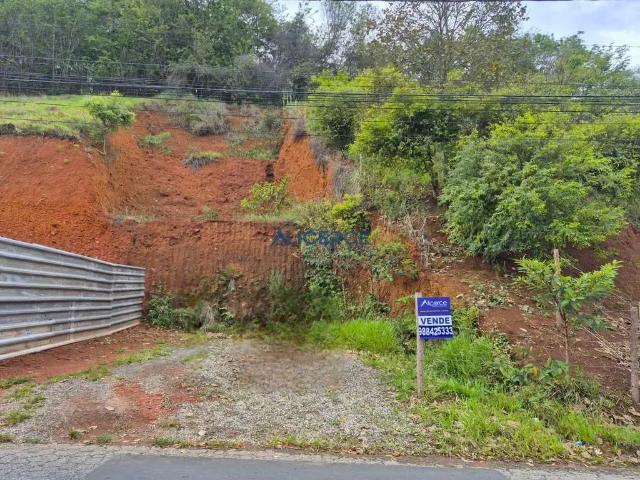 Terreno / Lote para Venda em Juiz de Fora/MG Borboleta