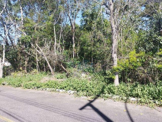 Terreno / Lote para Venda em Juiz de Fora/MG Bosque do Imperador