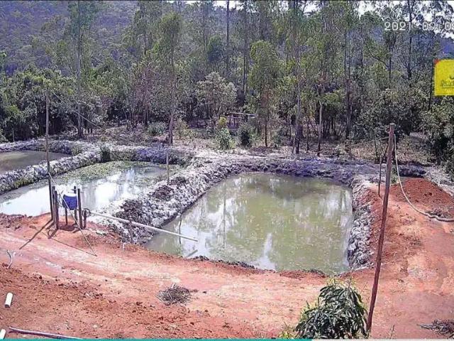 Terreno / Lote para Venda em Juiz de Fora/MG Centro