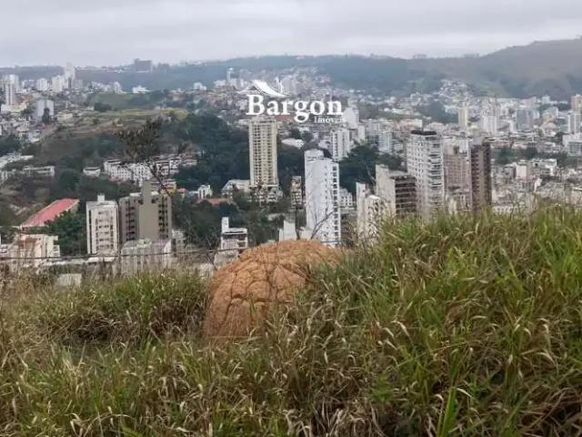 Terreno / Lote para Venda em Juiz de Fora/MG Cidade Jardim