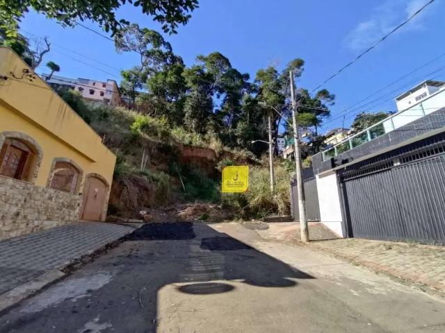Terreno / Lote para Venda em Juiz de Fora/MG Costa Carvalho