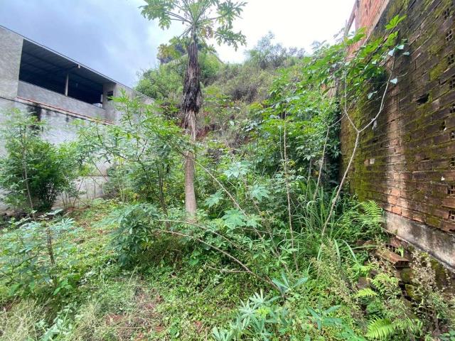 Terreno / Lote para Venda em Juiz de Fora/MG Democrata