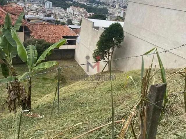 Terreno / Lote para Venda em Juiz de Fora/MG Democrata