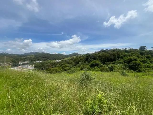 Terreno / Lote para Venda em Juiz de Fora/MG Filgueiras