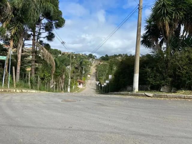 Terreno / Lote para Venda em Juiz de Fora/MG Filgueiras