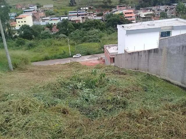 Terreno / Lote para Venda em Juiz de Fora/MG Grama