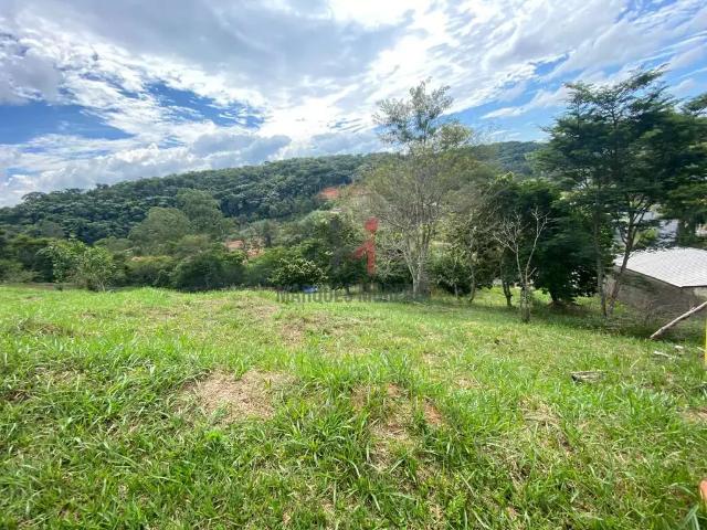 Terreno / Lote para Venda em Juiz de Fora/MG Grama